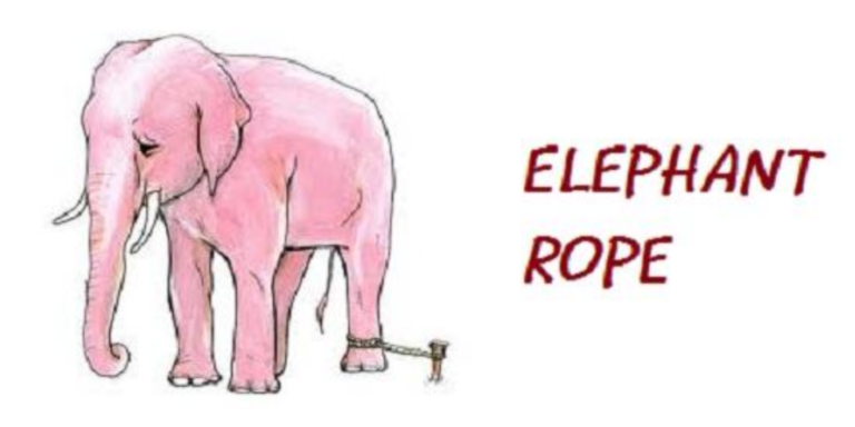 The Elephant Rope